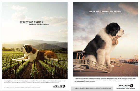 Case Study: Campaign Consistency Contributes to Ad Recall