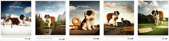 Case Study: Campaign Consistency Contributes to Ad Recall