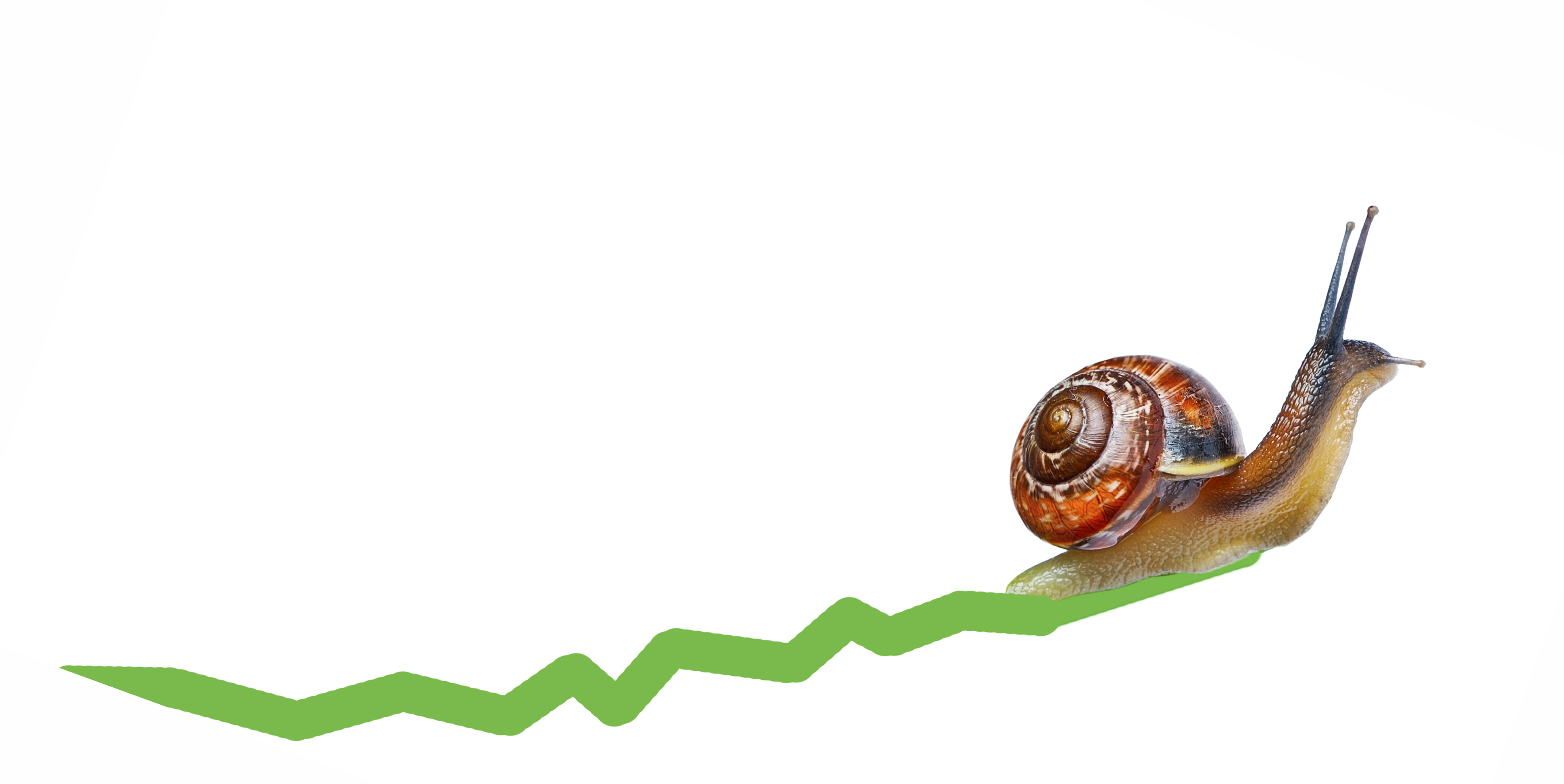 P C Insurers Continue To See Slow Premium Growth And Rising Loss Ratios