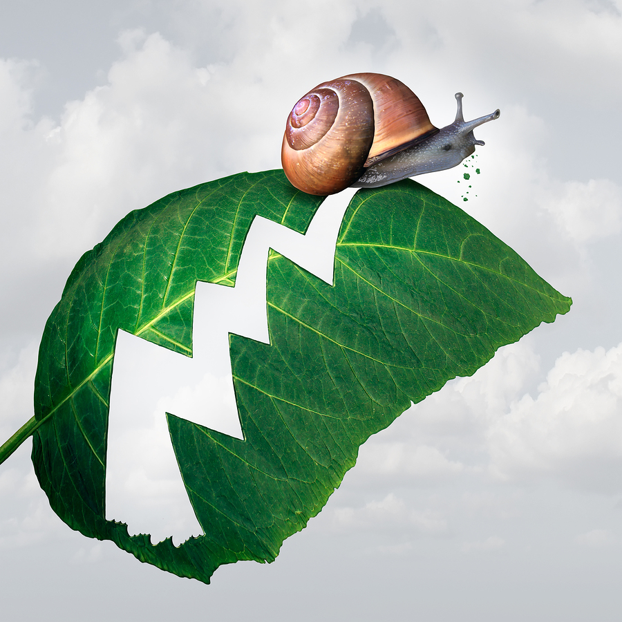 Agent Broker Organic Growth Slows To 5 Year Low Reagan Consulting