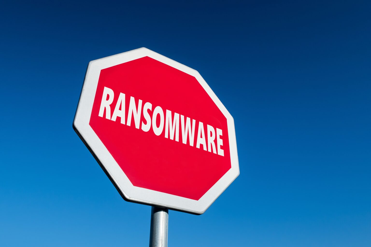 Ransomware Has Been a ‘Game Changer’ for Cyber Insurance