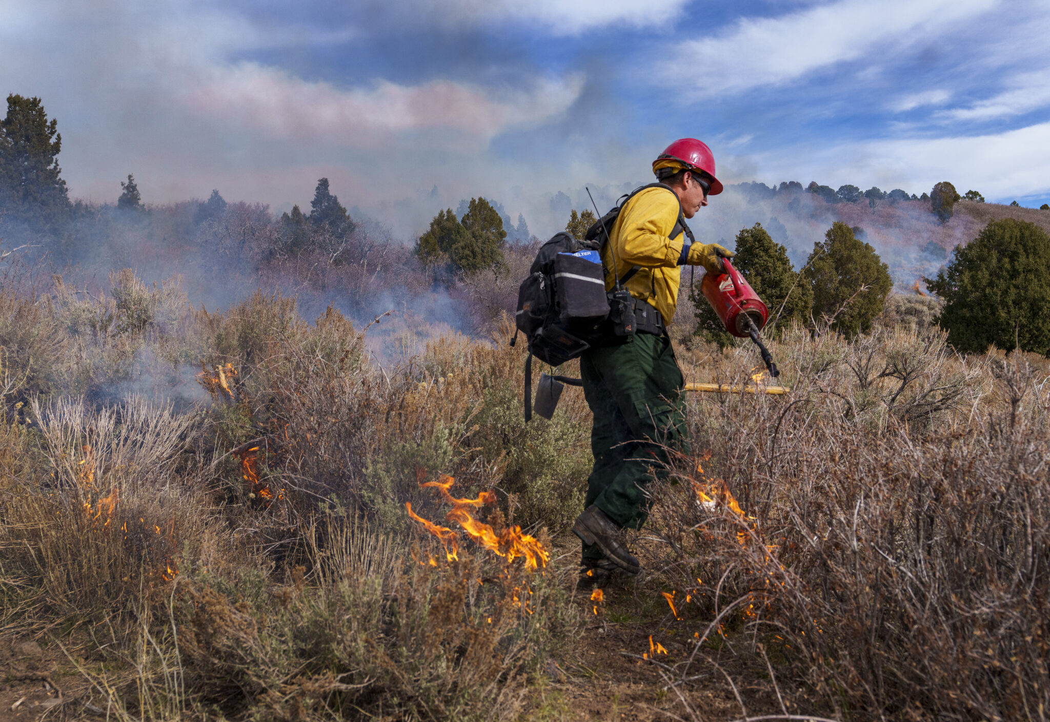 Prescribed Fires at National Forests Resume After Review