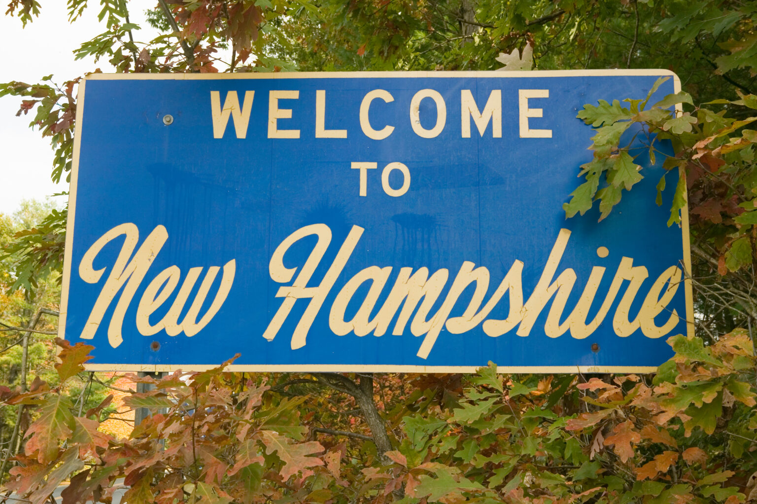 New Hampshire Insurance Department Says It Delivered ‘Real Value’ in 2025