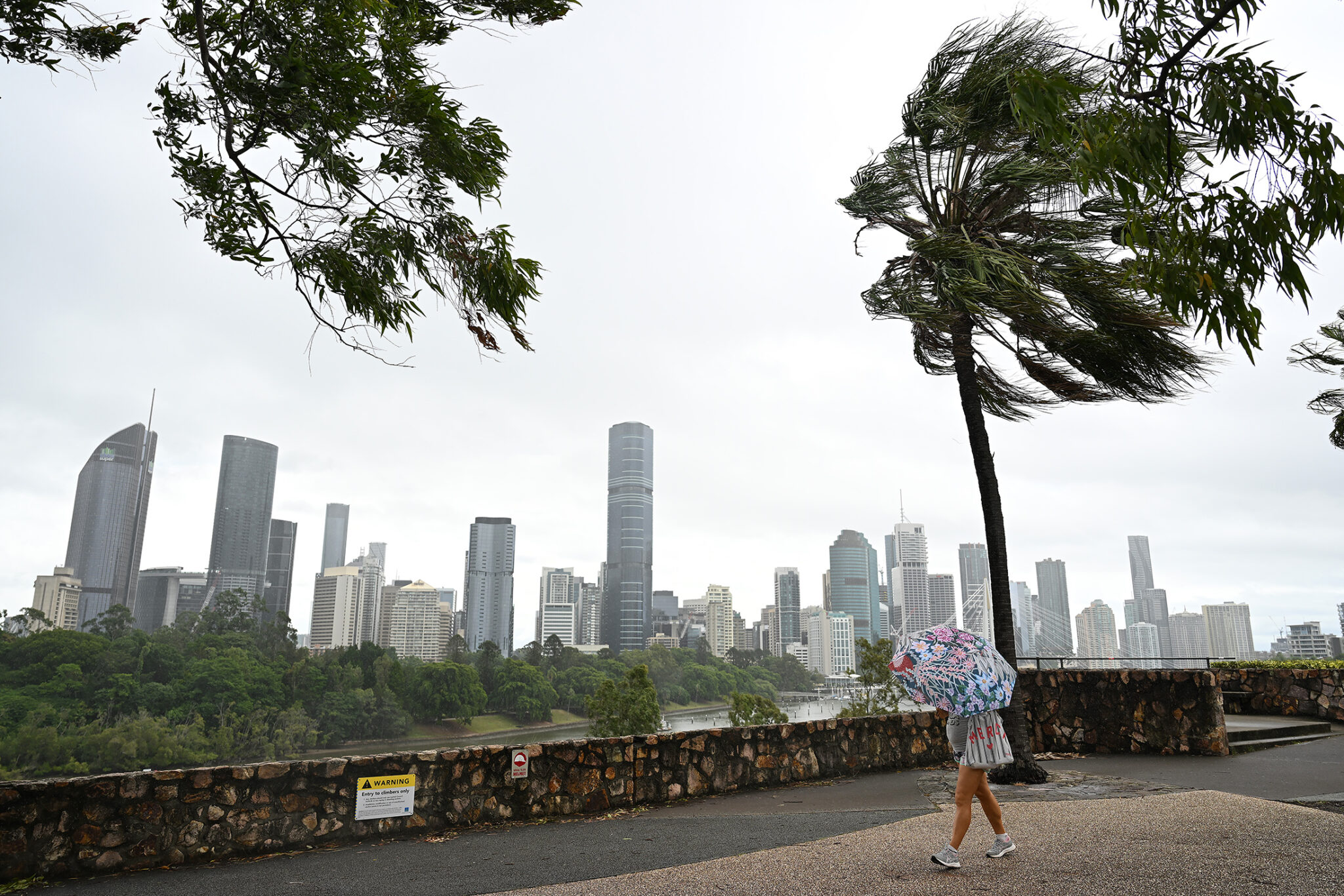 Cyclone Alfred’s Slow and Erratic Path Challenges Forecasters