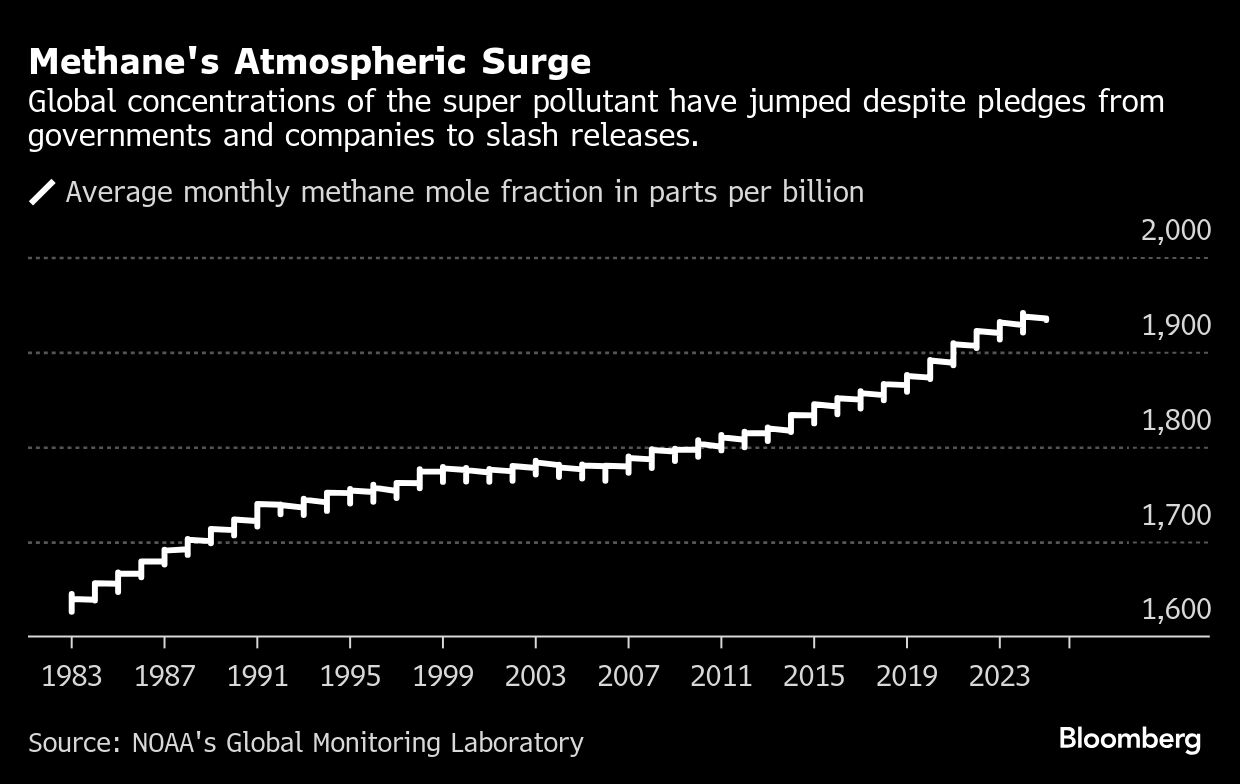 World Is Off Course on Pledge to Slash Heat-Trapping Methane