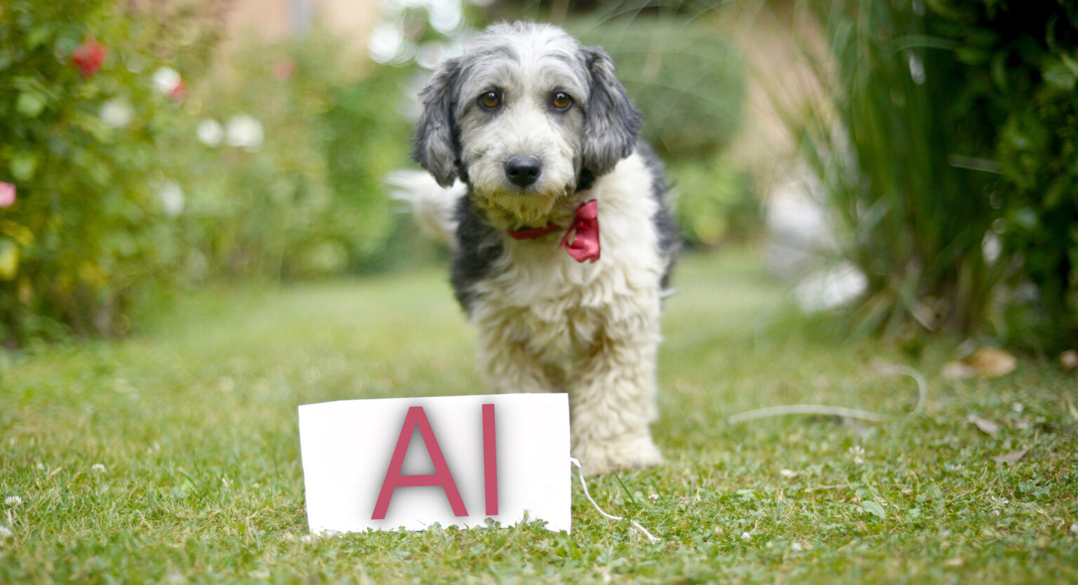 UConn, Georgia Tech Students Win ACORD Challenge Using AI Tools in Pet ...