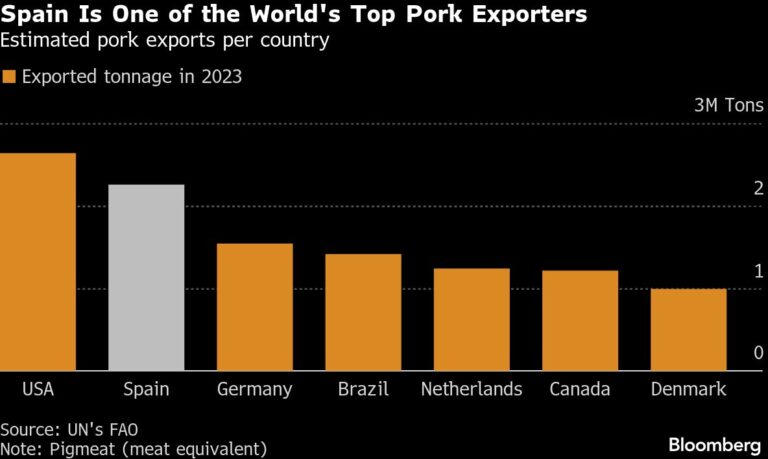 Spain Swine Fever Outbreak Grows With 10 New Wild Boar Deaths