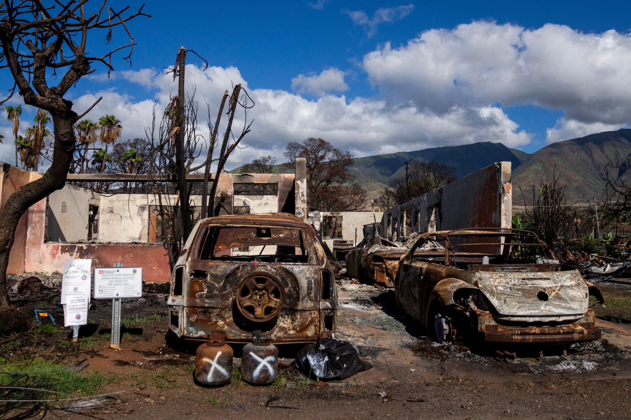 Maui Fire Survivors Brace for Possible End to FEMA Rental Assistance