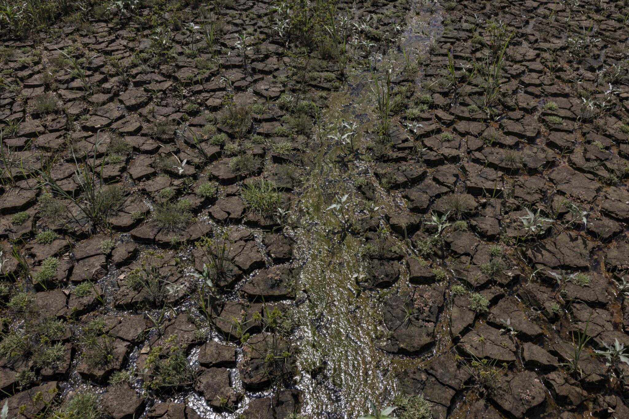 São Paulo Battles Drought and Floods Together in Climate Paradox