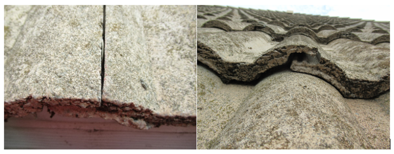 Florida Engineers: Winds Under 110 mph Simply Do Not Damage Concrete Tiles