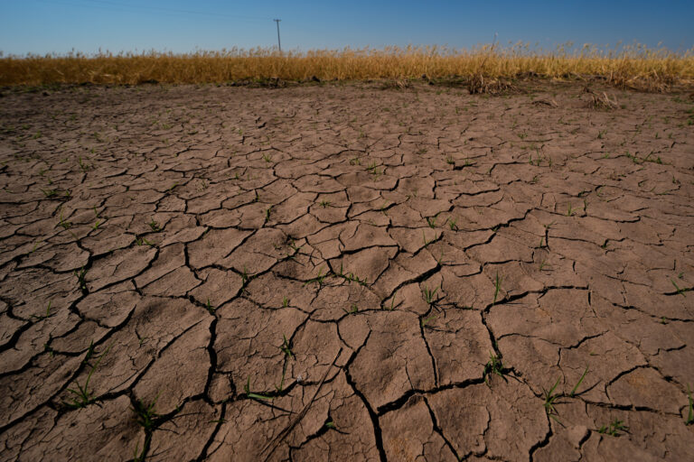 El Nino Is Here and Scientists Fear It’ll Bring Costly Heat, Floods ...
