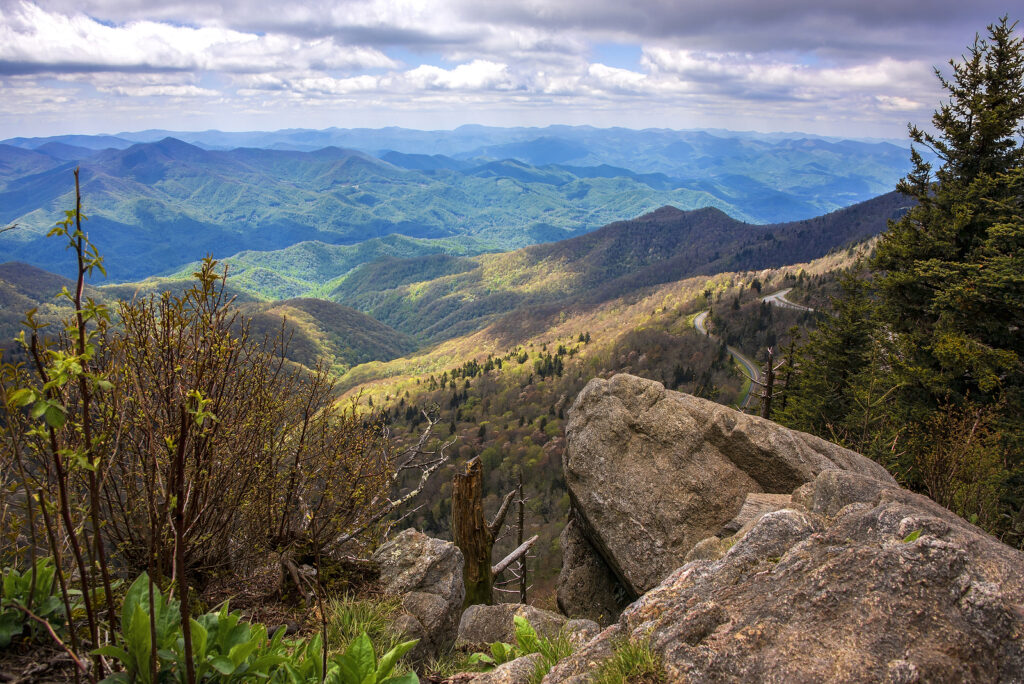 Trends in the Surplus Lines Industry 2023 - Insurance Journal Research