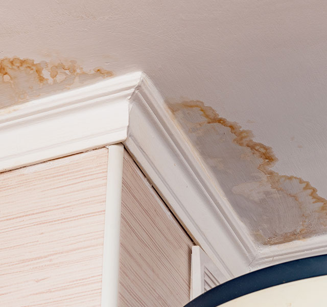 Mold Hazards During Disaster Cleanup - Insurance Journal Research